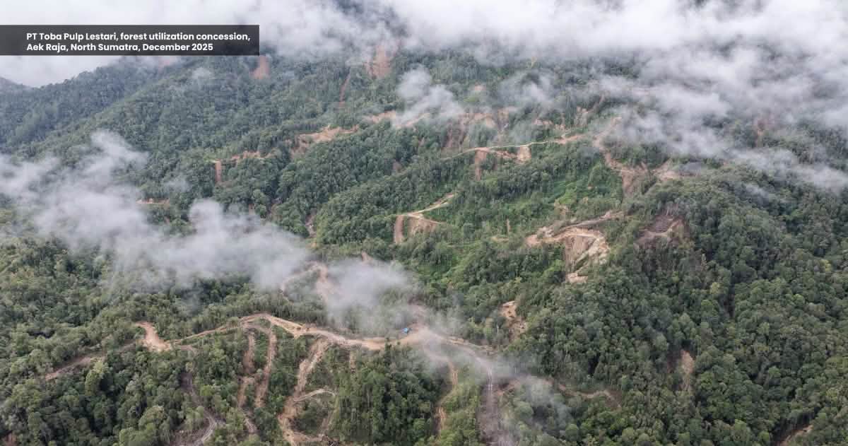 Indonésie : la déforestation en forte hausse en 2025 - Sauvons la Forêt ...