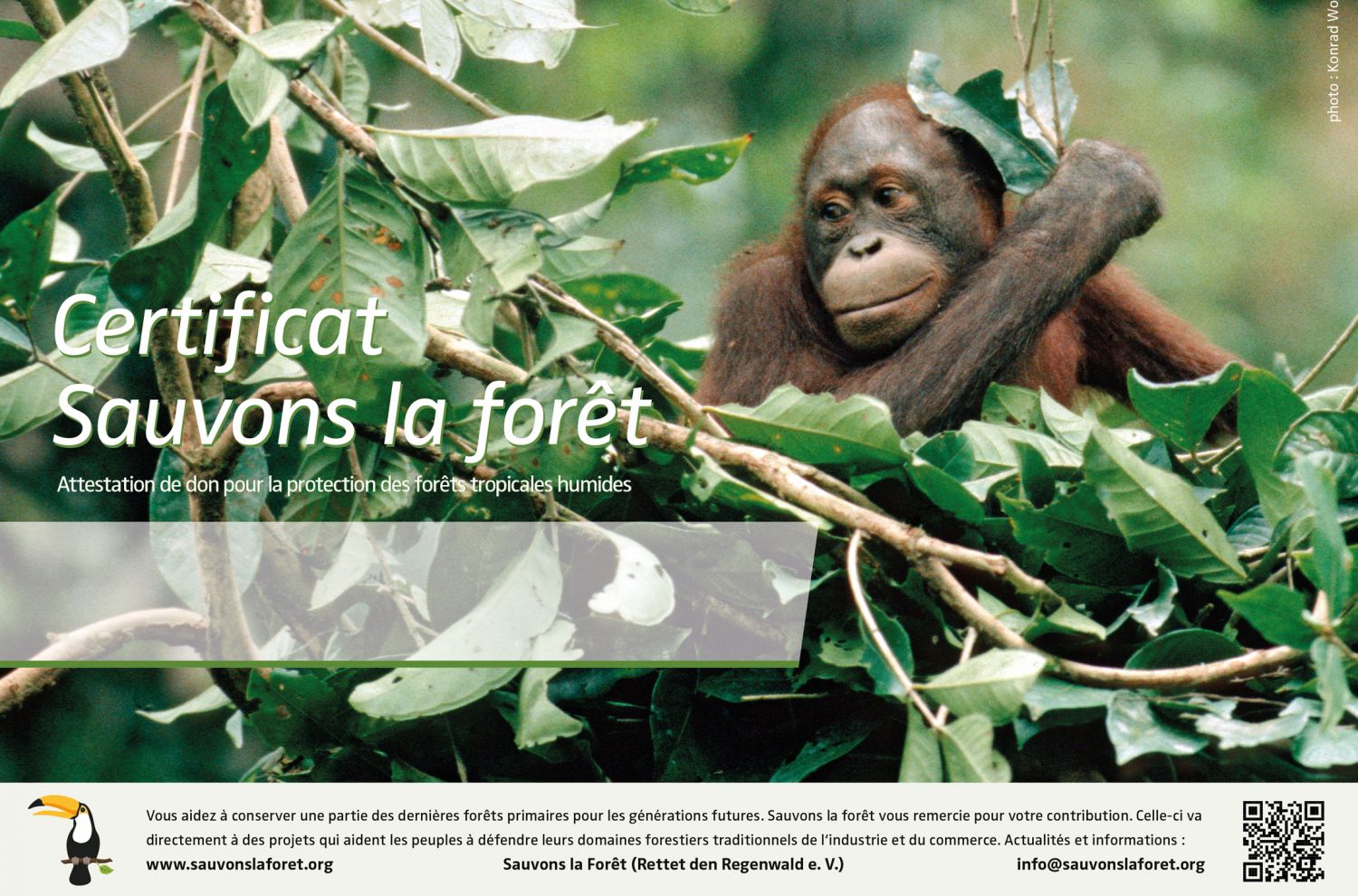 Certificats pour la protection des forêts tropicales - Sauvons la Forêt