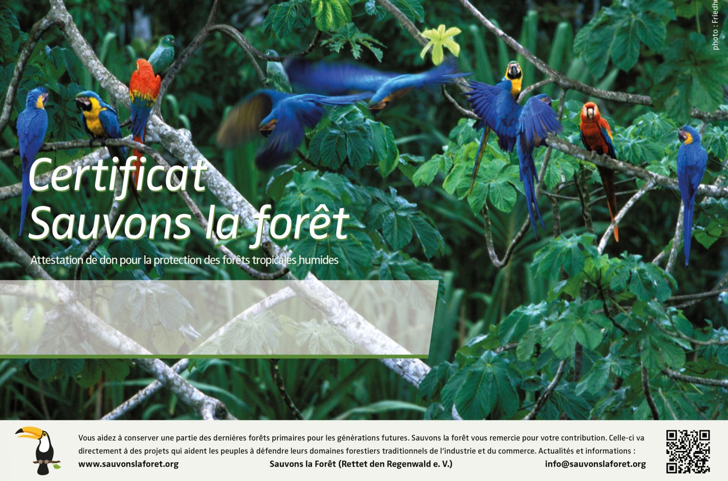 Certificats pour la protection des forêts tropicales - Sauvons la Forêt